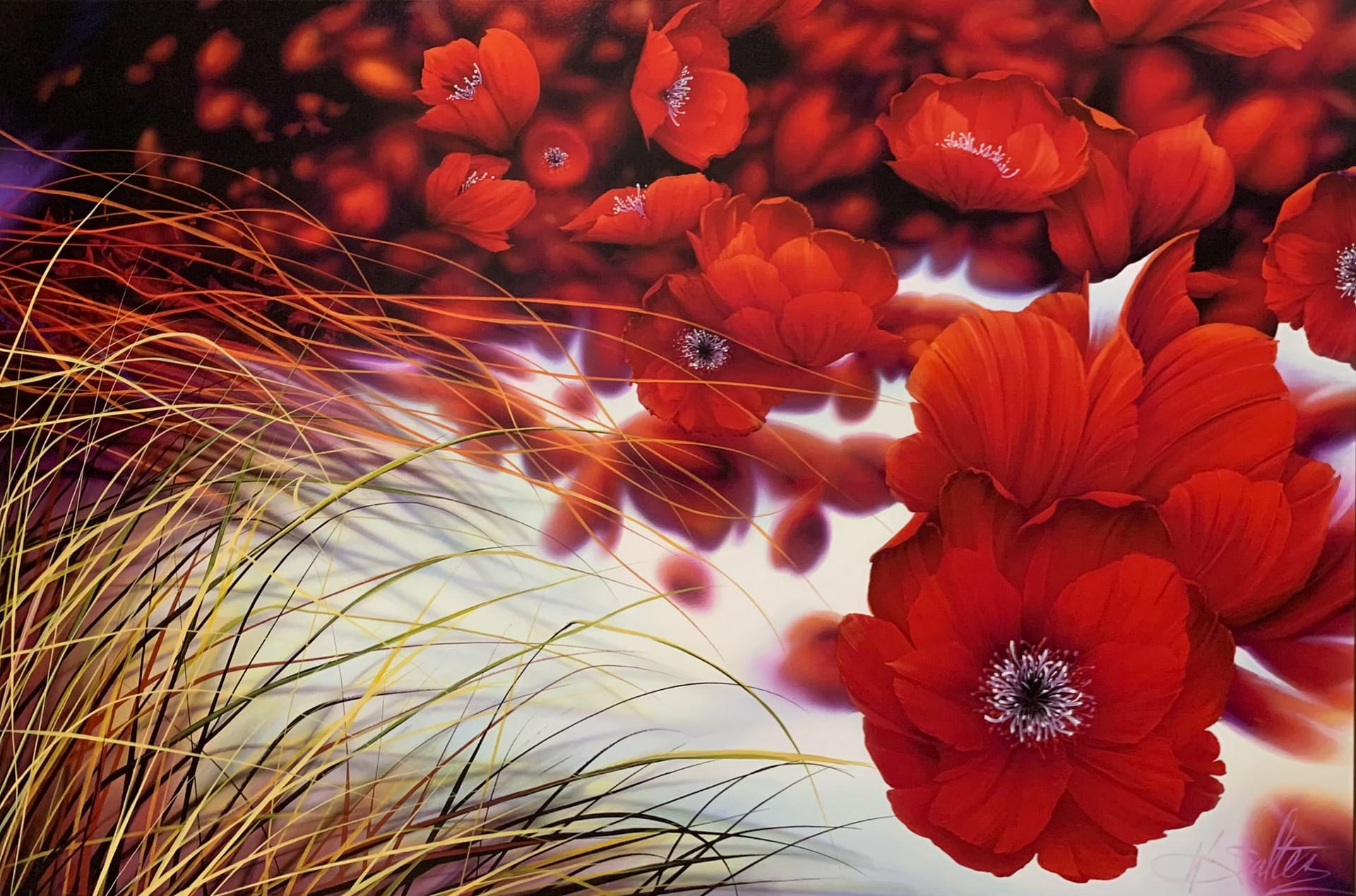 Poppy Series | Warren Salter Art